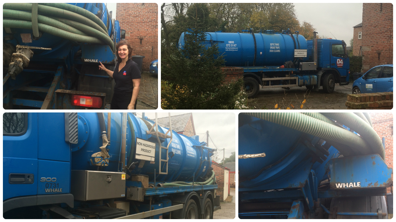 Whale Tankers Excitement at DriveWorks HQ - DriveWorks